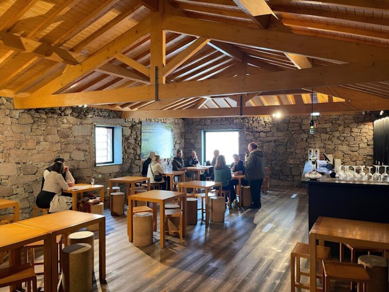 Visit to a Port Wine Cellar - Key Points