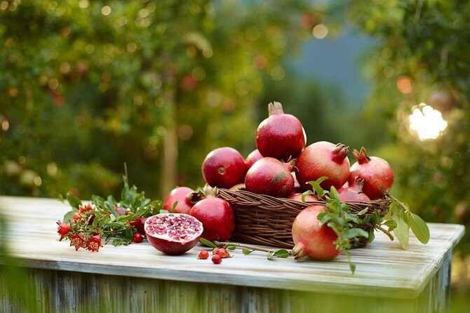 Visit to an Organic Farm in Cumbum Valley - Tamil Nadu - Visiting an Organic Farm in Cumbum Valley – Tamil Nadu: A Practical and Authentic Experience