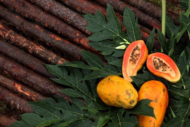 Visit to an Organic Farm in Cumbum Valley - Tamil Nadu - A Closer Look at the Experience