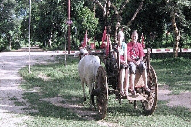 Visit to an Organic Farm in Cumbum Valley - Tamil Nadu - FAQs