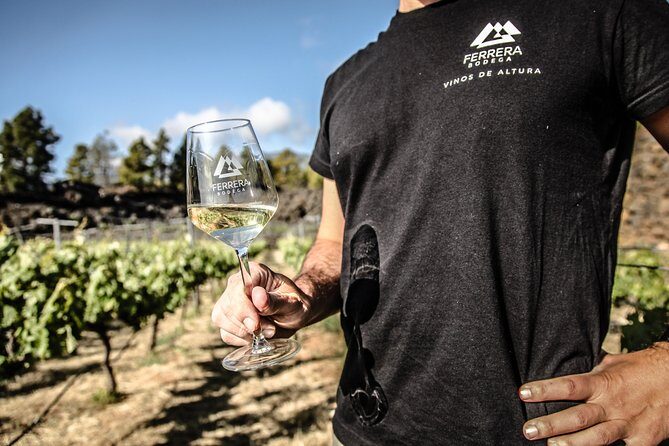Visit to Arafo Mountain Vineyard and Organic Wine Tasting - Exploring the Tour in Detail: A Deep Dive
