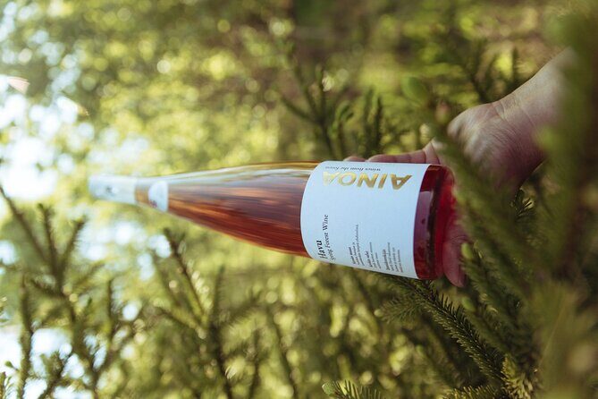 Visit to Authentic Finnish Berry Winery, Tasting Included - An Authentic Finnish Experience in the Countryside