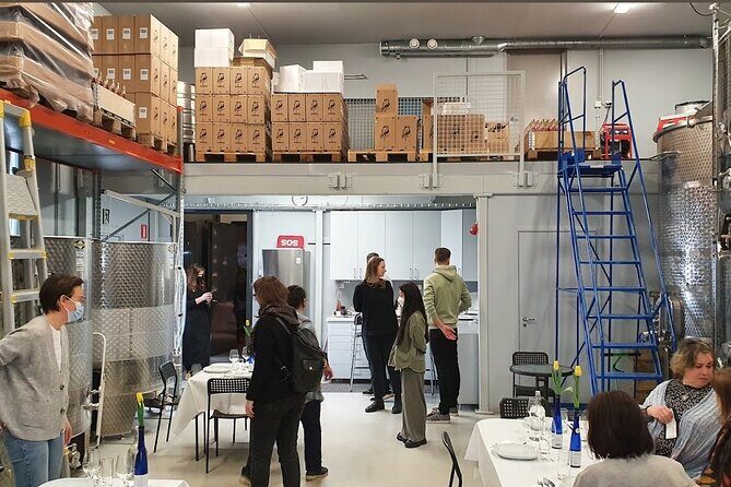 Visit to Authentic Finnish Berry Winery, Tasting Included - The Sum Up: Who Will Love This Tour?