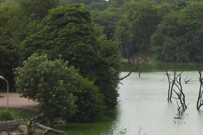 Visit to Hauz Khas Village - Delhi - Final Thoughts: Is It Worth It?