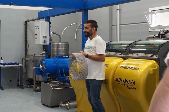 Visit to olive grove and olive mill with oil tasting and tasting - Who Will Love This Tour?