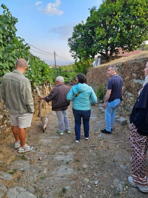 Visit to Quinta de Sobre a Fonte with wine tasting - pet friendly - Key Points
