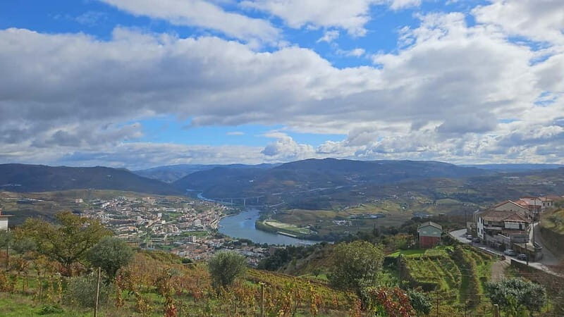 Visit to Quinta de Sobre a Fonte with wine tasting - pet friendly - FAQs