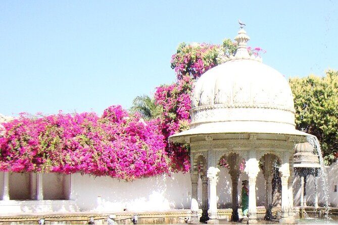 Visit to Sahelion Ki Bari, Garden of the Maidens, Udaipur with lunch - The Experience: What You Can Expect