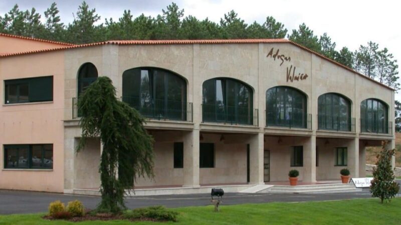 Visit to the Adegas Valmiñor winery and tasting - Who Will Love This Experience?