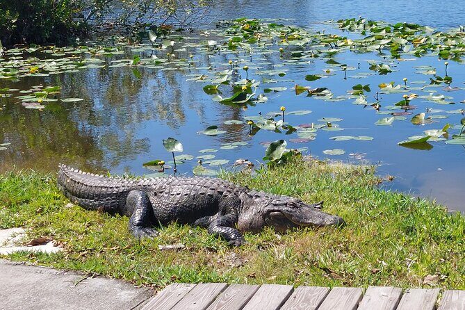 Visit to the Everglades in French - FAQ