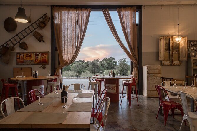 Visit to the olive grove, oil tasting and lunch at the farm - An Overview of the Tour