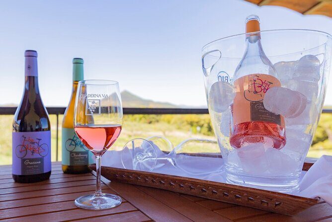 Visit to the Winery with Wine Tasting and Appetizers in Navarra - Key Points