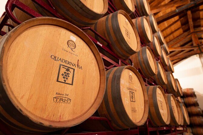 Visit to the Winery with Wine Tasting and Appetizers in Navarra - What to Expect During Your Visit