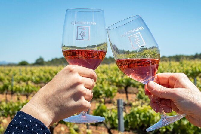Visit to the Winery with Wine Tasting and Appetizers in Navarra - Who Should Consider This Tour?