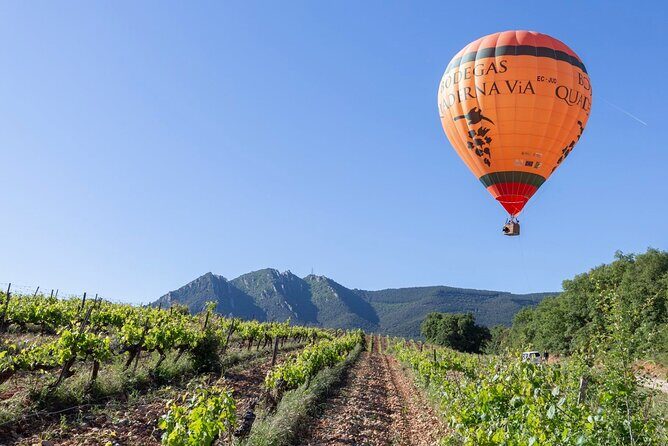 Visit to the Winery with Wine Tasting and Appetizers in Navarra - FAQ