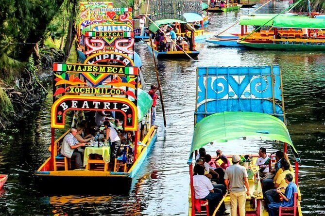 Visit to Xochimilco, Coyoacán and Ciudad Universitaria - To Sum Up