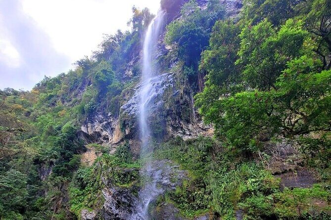 Visit Trinidads highest waterfall - An In-Depth Look at the Experience