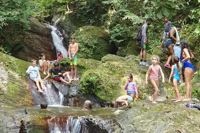 Visit Trinidads highest waterfall - The Sum Up