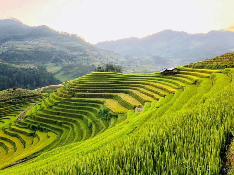 Visit Villages, Terrace Rice Field with Easy Riders half day - Possible Drawbacks