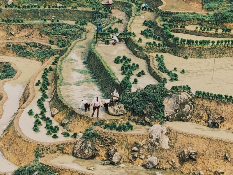 Visit Villages, Terrace Rice Field with Easy Riders half day - FAQ