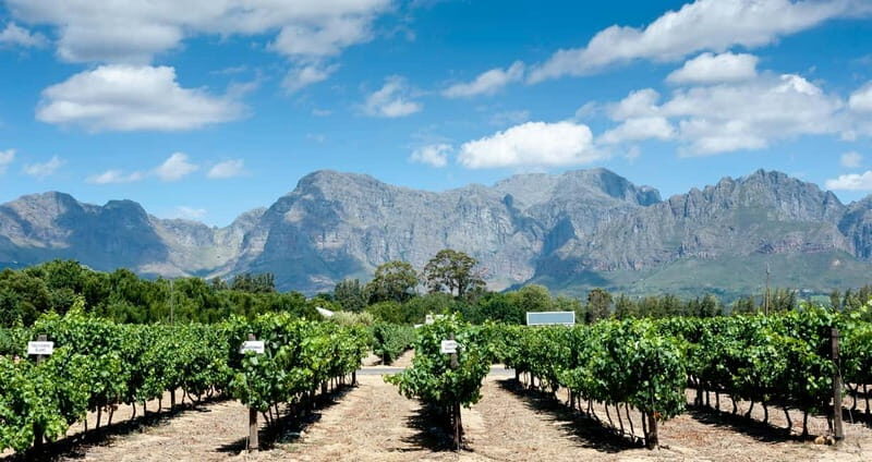 Visit winery in guadalest - FAQs