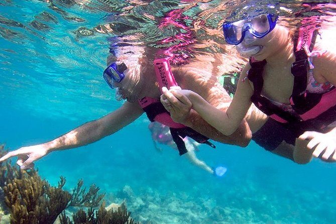 Visit Xcaret Plus, Night Live Show, Buffet & Transport from Tulum - FAQ
