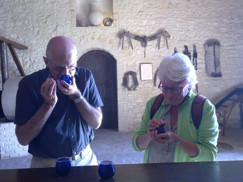 VISITA GUIADA ALMAZARA DE ACEITE Y BODEGA - A Closer Look at the Olive Oil and Bodega Tour