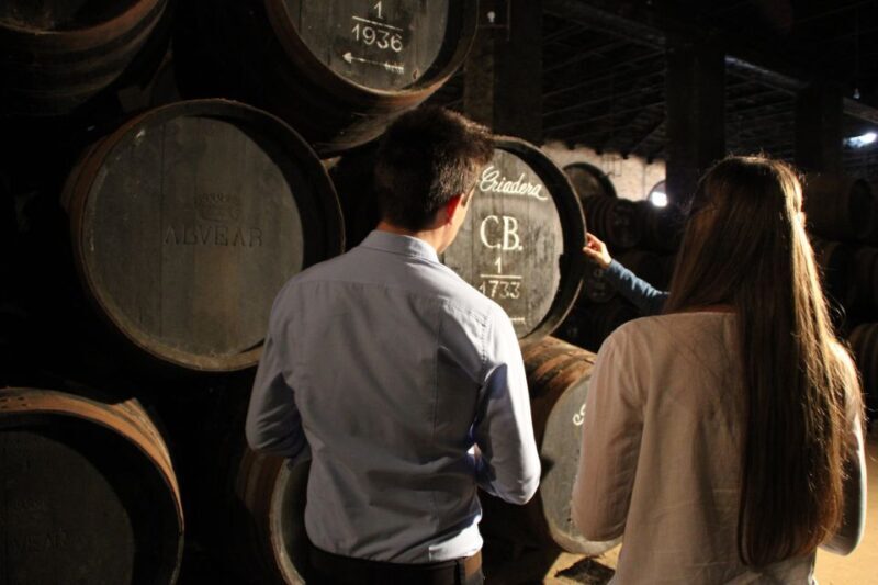 VISITA GUIADA ALMAZARA DE ACEITE Y BODEGA - FAQ