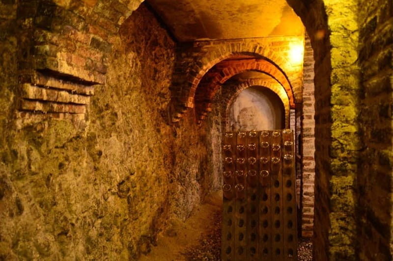 Visita guidata e Degustazione vini Monforte d'Alba - Exploring the Monforte dAlba Wine Tour: A Genuine Taste of Piedmont