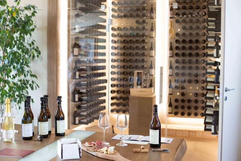 Visita guidata e Degustazione vini Monforte d'Alba - What to Expect: From Winery to Vineyard