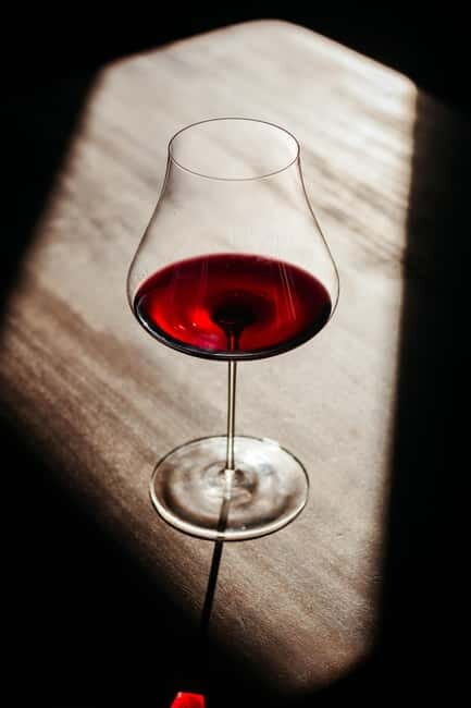 Visita guidata e Degustazione vini Monforte d'Alba - Final Thoughts: Authentic, Educational, and Scenery-Filled