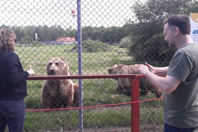 Visiting a Bear and Wolf Sanctuary - An In-Depth Look at the Sanctuary Experience