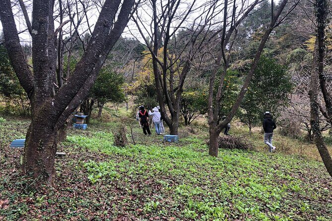 Visiting Beekeeper and Beeswax Craft Making in Bungoono City - Exploring Beekeeping and Beeswax Crafting in Bungoono