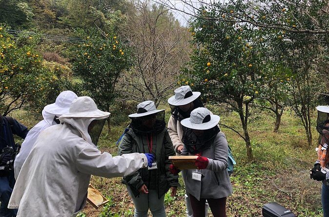 Visiting Beekeeper and Beeswax Craft Making in Bungoono City - FAQs