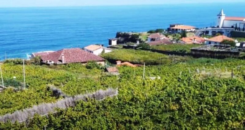 Visiting local Vineyard With Wine Tasting & Lunch included - Who Is This Tour Best For?