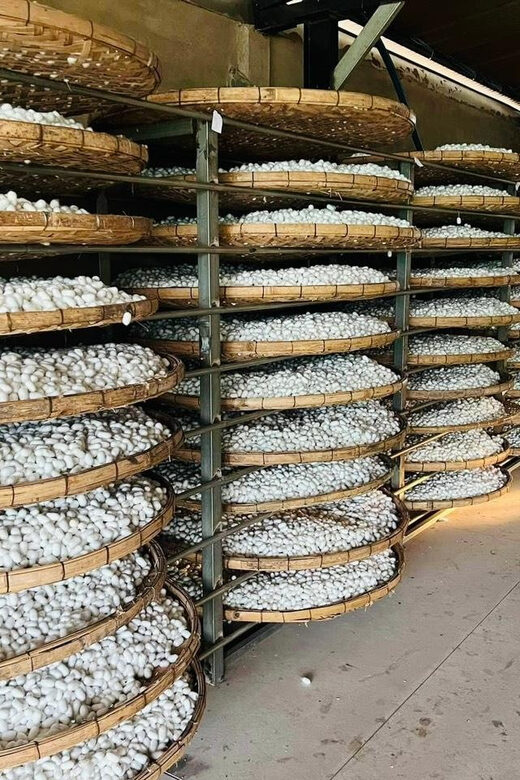 Visiting Silk Factory & Coffee - The Itinerary: What You’ll Do and Why It Matters