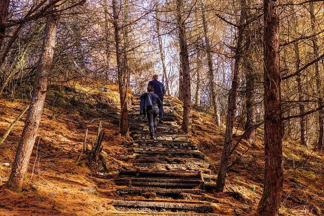 Visiting Wolong Panda Base and Hiking on Heritage Site - Key Points