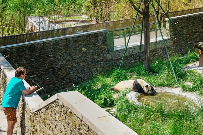 Visiting Wolong Panda Base and Hiking on Heritage Site - Lunch: Tasting the Flavors of the Mountains
