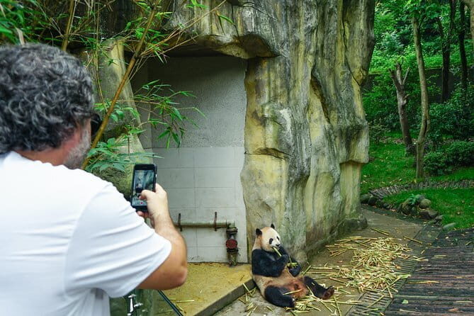 Visiting Wolong Panda Base and Hiking on Heritage Site - Pricing & Value