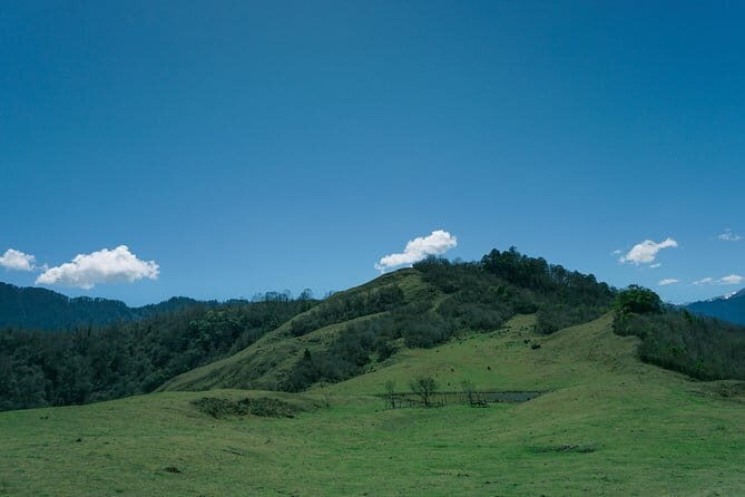 Visiting Wolong Panda Base and Hiking on Heritage Site - The Sum Up