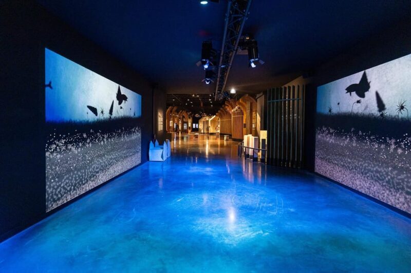 Visitor trail of the Cité in Beaune - An in-depth look at the visitor trail in Beaune