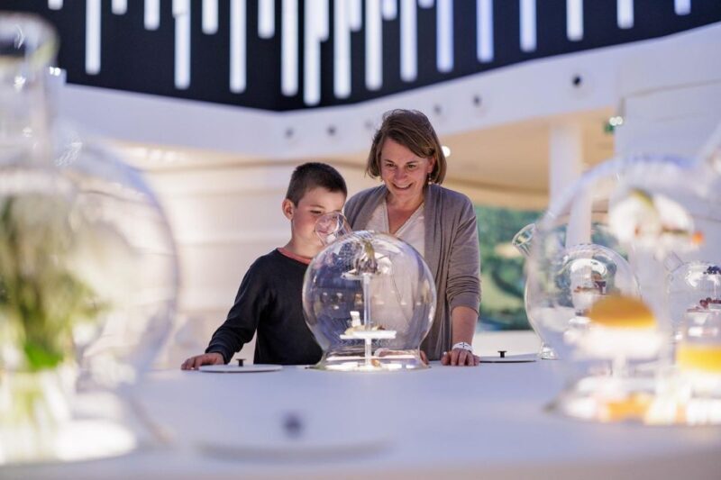 Visitor trail of the Cité in Mâcon - What You Can Expect at Each Stage