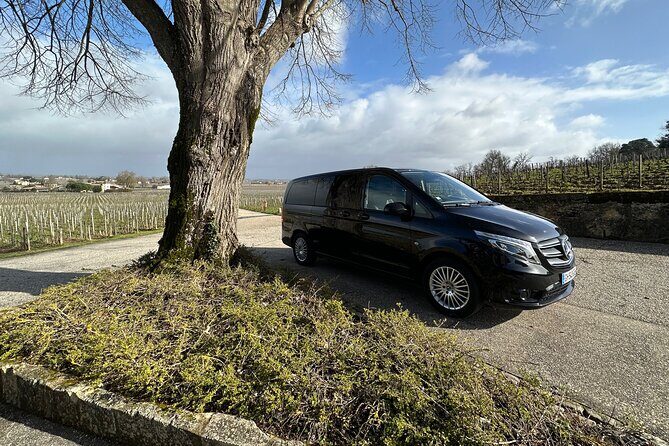 Visits and Tastings in the Médoc in Small Group with Meal - A Well-Rounded Wine Adventure in the Médoc