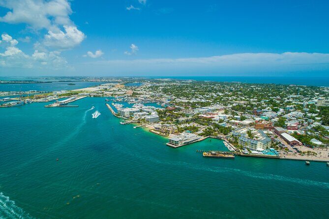 Vitamin Sea Dolphin Safari: Private Key West Charter - Key Points