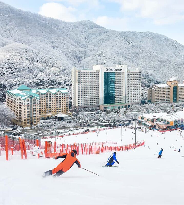 Vivaldi Park - Private Ski Lesson - An Honest Look at a Winter Wonderland Experience