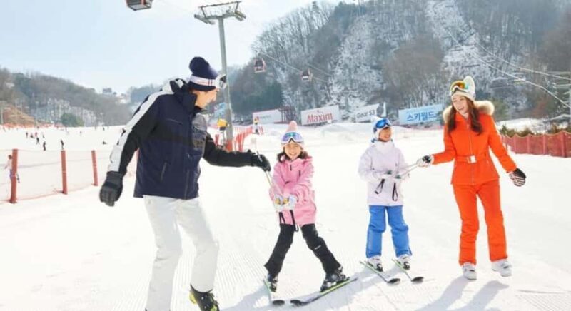 Vivaldi Park - Private Ski Lesson - Key Points