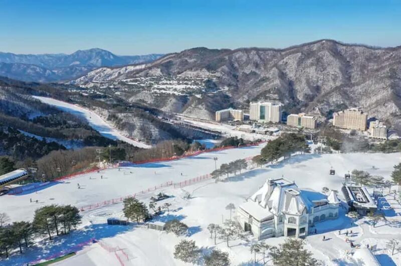 Vivaldi Park - Private Ski Lesson - Who Will Love This Tour?