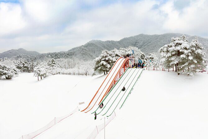 Vivaldi Park Winter Ski Resort with Nami Island Tour from Seoul - Authentic Experiences and Real Traveler Feedback