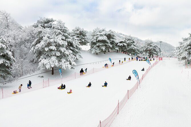 Vivaldi Park Winter Ski with Eobi Ice Valley Day Tour from Seoul - A Closer Look at the Tour Itinerary