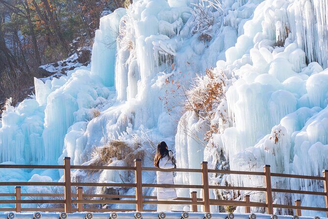 Vivaldi Park Winter Ski with Eobi Ice Valley Day Tour from Seoul - FAQs